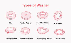 Different Types of Washers: A Guide To Size and Material Selection